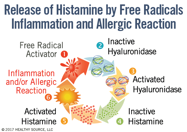 Effective Natural Relief from Allergies - Antihistamine and Anti-allergy